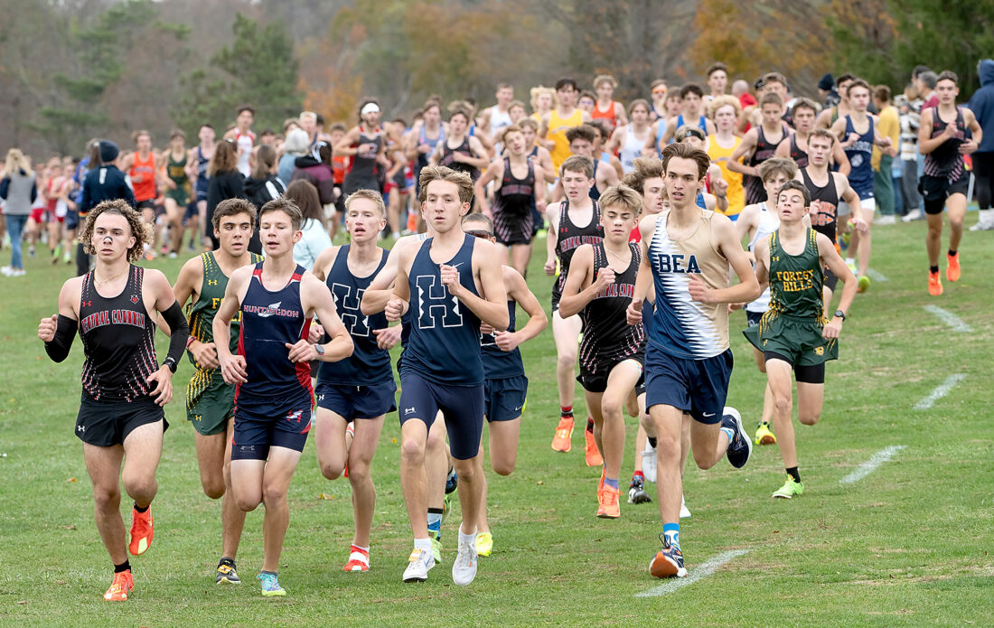 Berkhimer, Haycisak shine at LHAC cross country meet | News, Sports ...